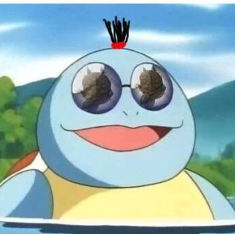 乌龟不是蛋王八 