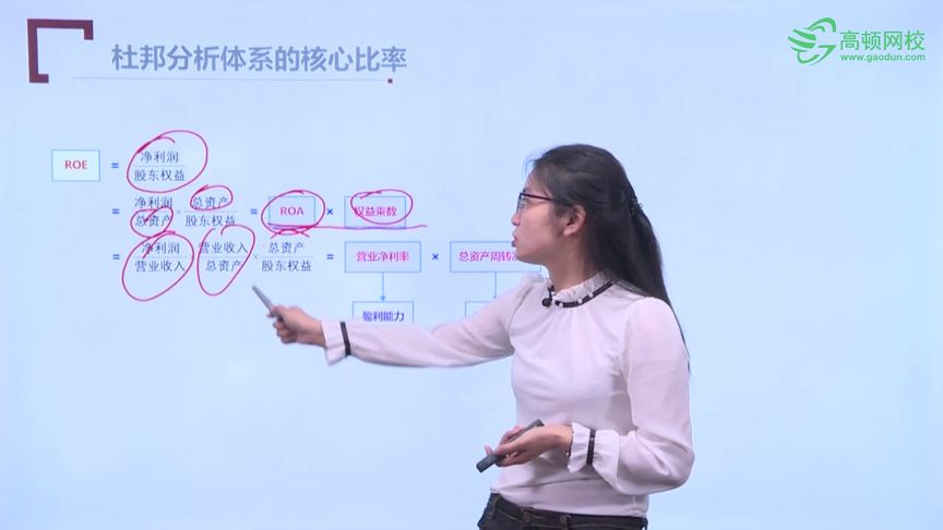 杜邦分析体系的核心比率问题