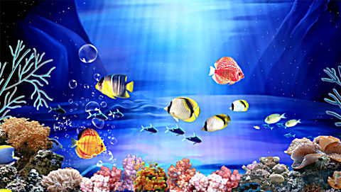 海洋世界 海底世界五颜六色的鱼 海底总动员