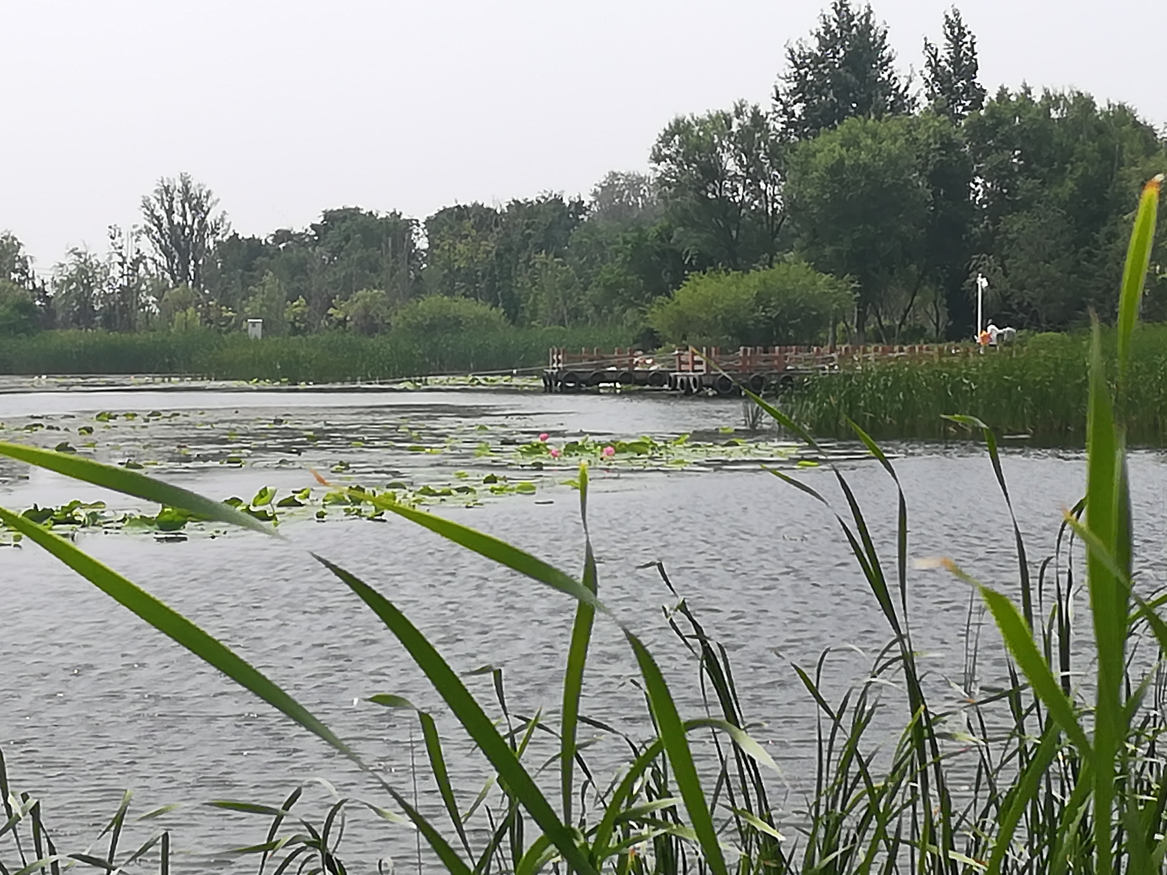 VK网咖娱乐 