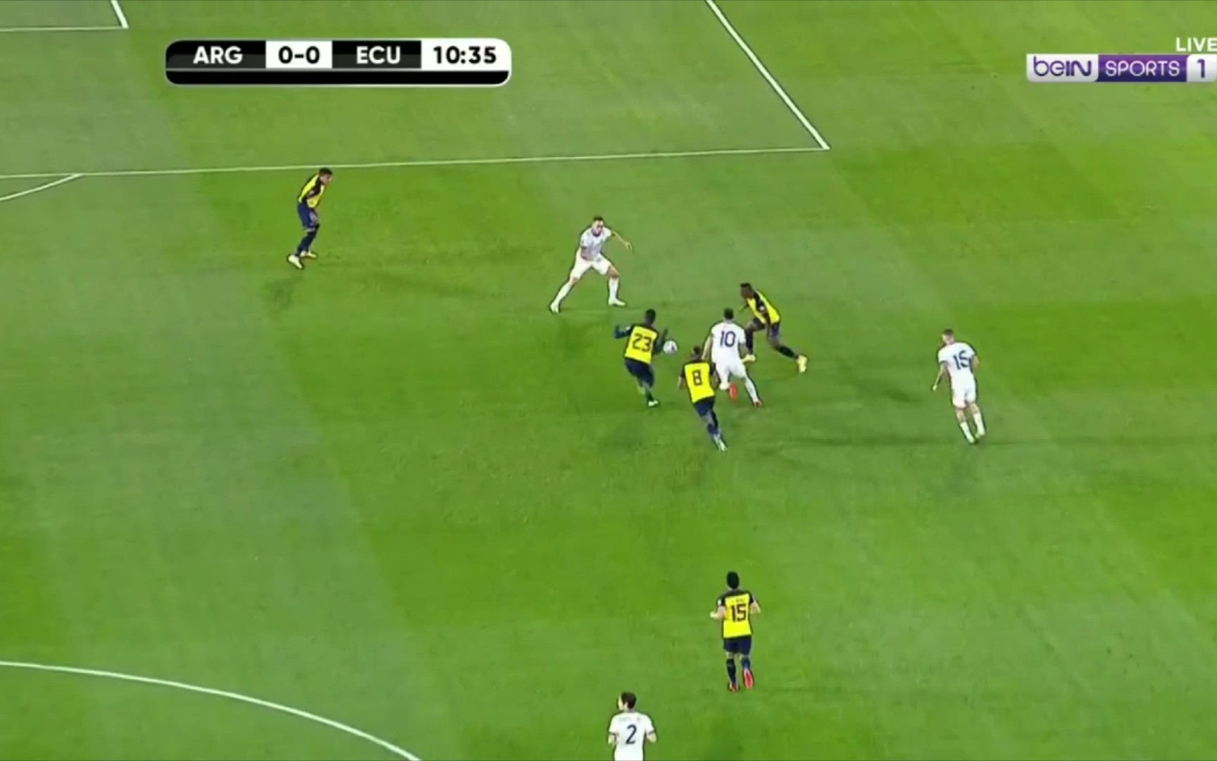 世界杯揭幕战前 回顾今年厄瓜多尔战平阿根廷的那场预选赛