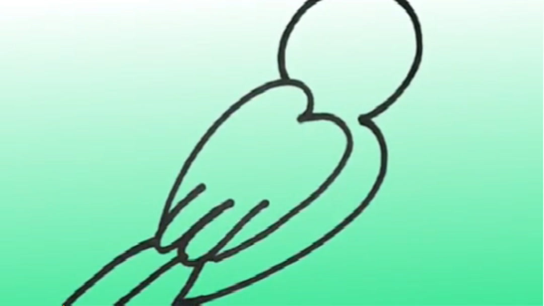 如何画鸟的简笔画