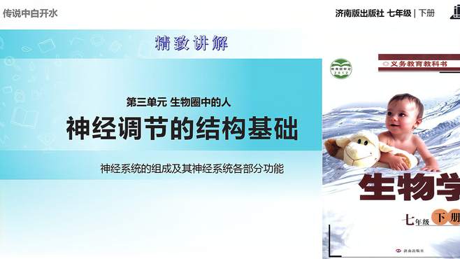 神经系统的组成,一看就会,一学就懂