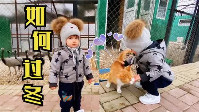 太暖心!俄罗斯动物园给散养的小动物准备了过冬的笼子