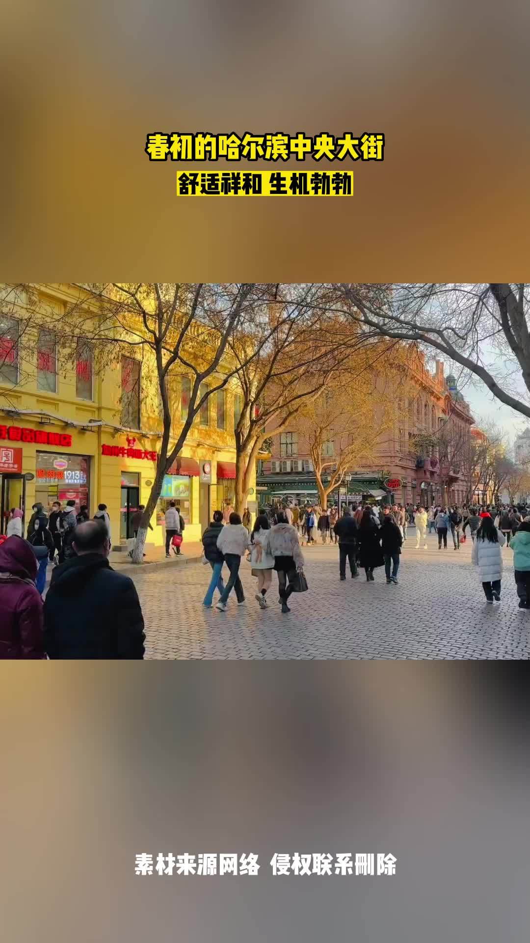 春初的哈尔滨中央大街,舒适祥和 生机勃勃。