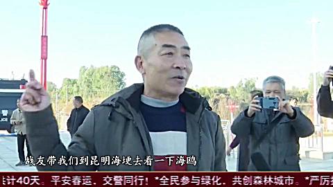 永仁攀枝花至昆明段动车开通运营 永仁 元谋迈入“动车时代”_云南...