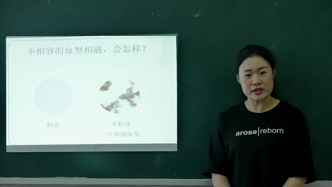 杨惠雯——血型