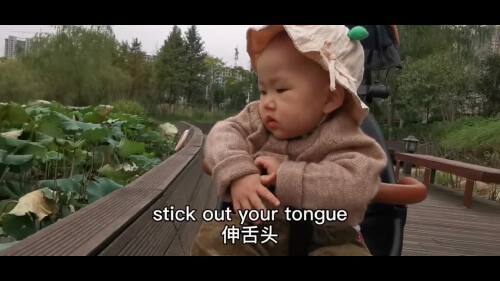 12个月米乐宝宝能听懂的一些英语指令