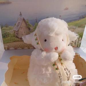 张万万影视剪辑 