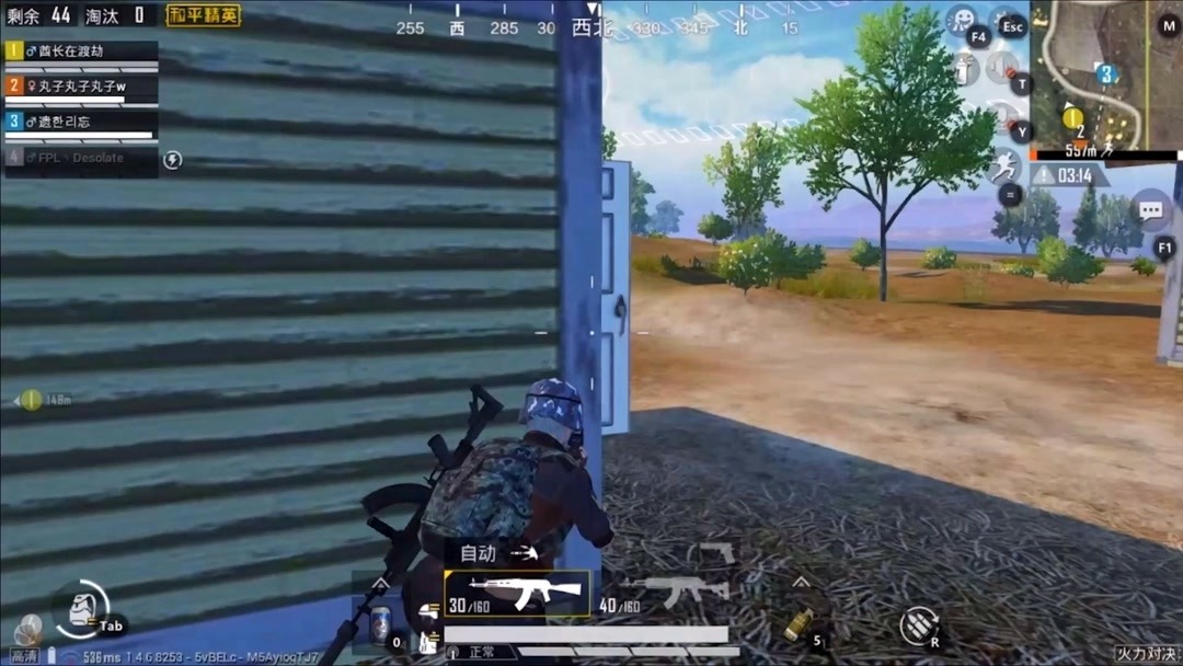 和平精英:还是RPG最香了!