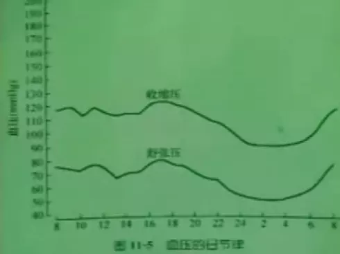生理学(31)血管生理
