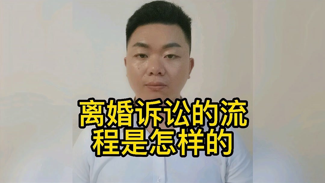离婚诉讼的流程是怎样的