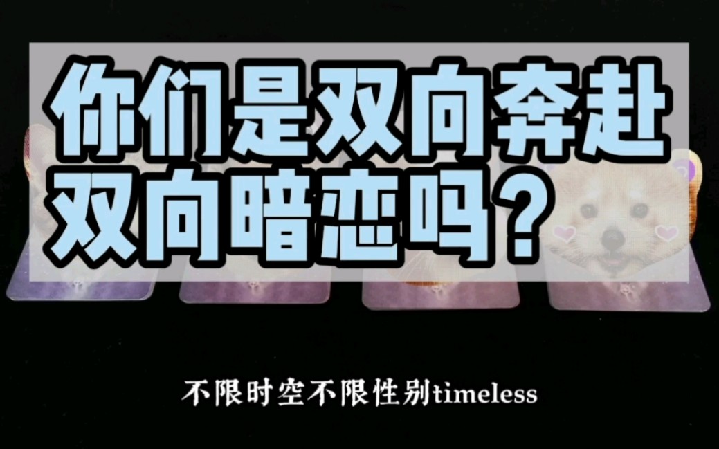 圆屋塔罗|你们是双向奔赴/双向暗恋吗?不限性别不限时空timeless～...