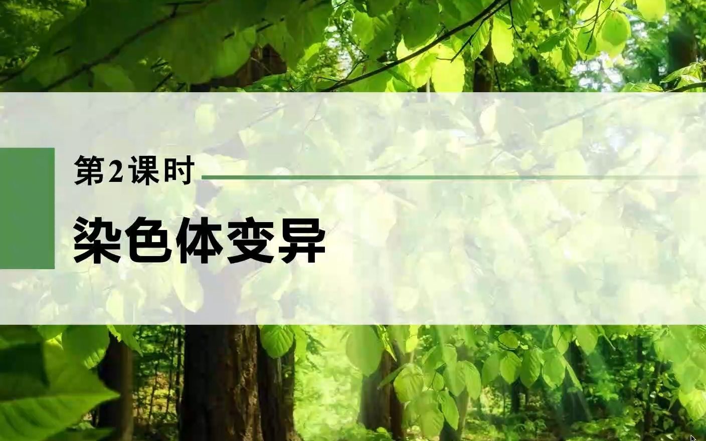 ...一轮复习】7.2-3染色体变异 习题新高考生物步步高全国新课标网课