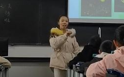 【公开课】《四季之美》 部编人教版五年级语文上册 YW05A-094 ()