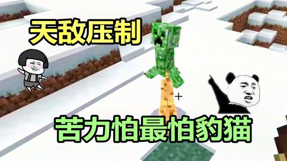 我的世界:mc里4种生物的天敌,苦力怕最怕豹猫,狼害怕羊驼?