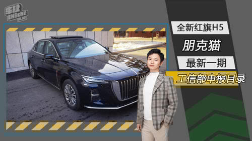 全新红旗H5 朋克猫 多款新车亮相工信部申报目录