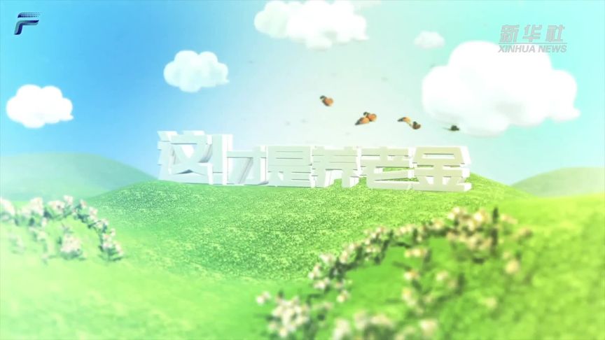 “宅”家理财|什么是养老目标基金2040?