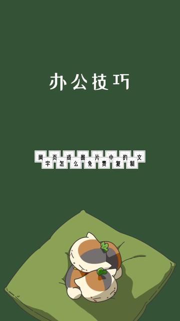 网页文字不能复制,图片转.