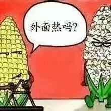 嗨_熊die 
