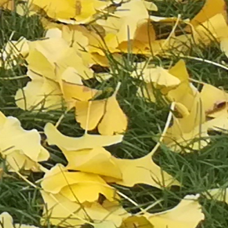 一尘教育工作室 