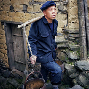 宁乡八哥 