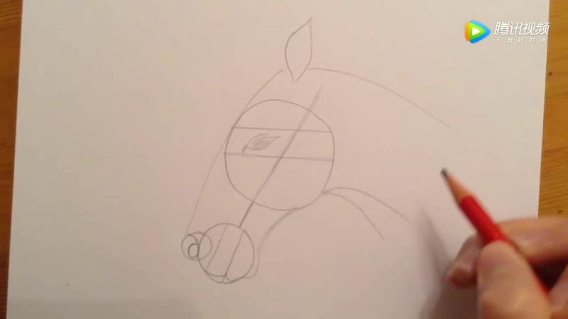 简单马的简笔画怎么画手绘教程
