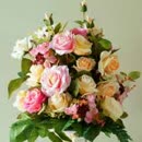 第五玩家ߒ�Brayden 