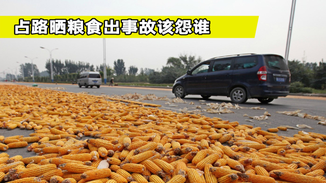 农民占路晒粮引发交通事故,责任该怎么划分?看完涨知识了