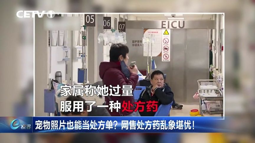 宠物照片也能当处方单?网售处方药乱象堪忧!