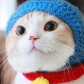 哈妹的趣味日常 