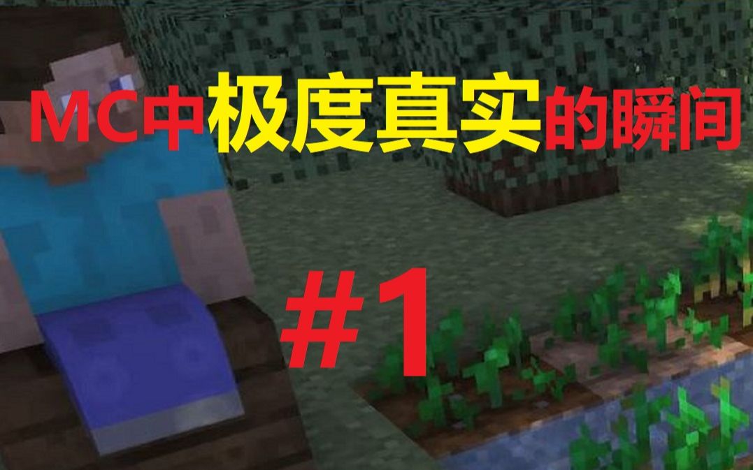 MC中极度真实的瞬间 #1