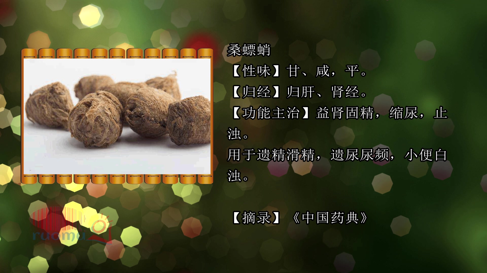 桑螵蛸-中医药材