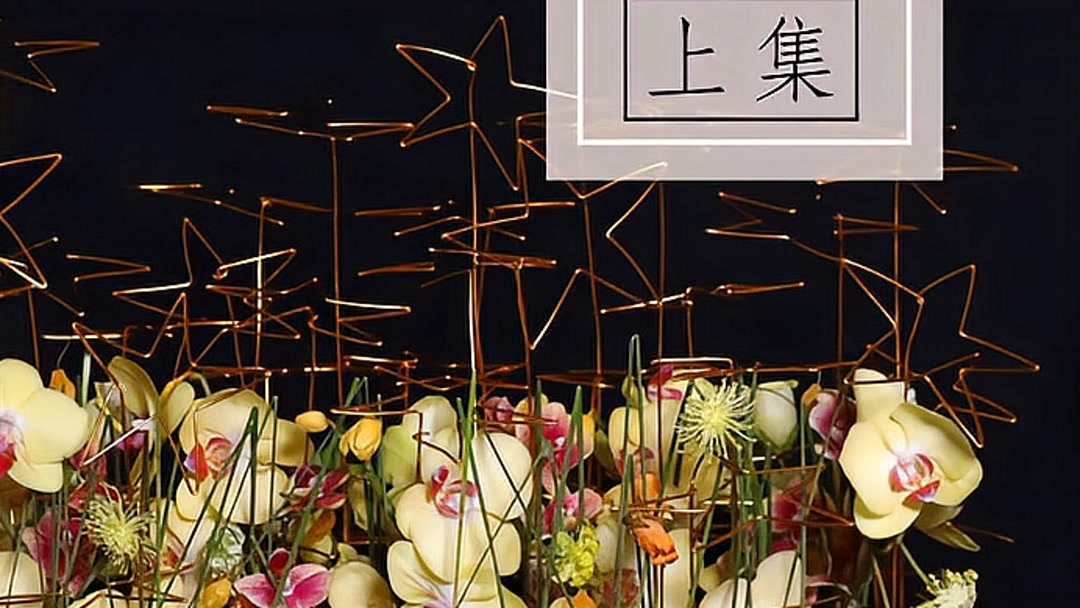 空间架构花艺「插花培训」悬空解构花艺设计·上集