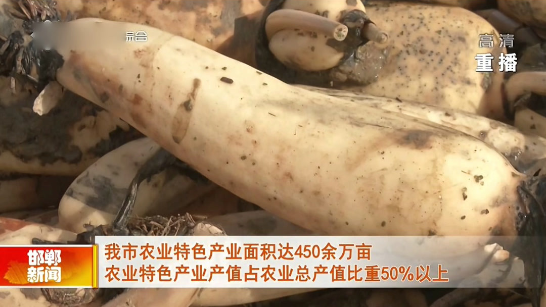 我市农业特色产业面积达450余万亩 农业特色产业产值占农业总产值...