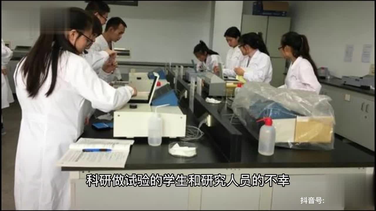 大学实验室又见事故 消防安全 安全 注意防范 火灾 科研 事故 实验室
