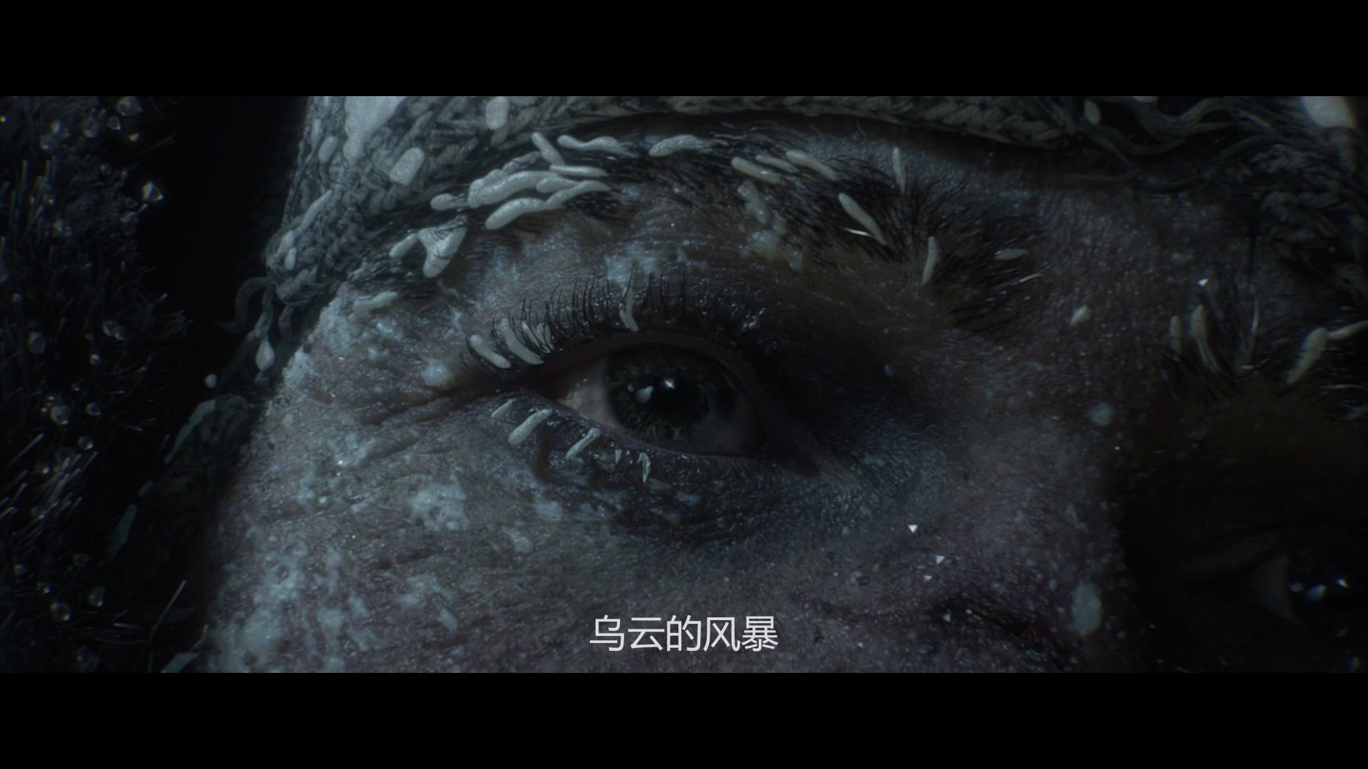 【VGtime】《冰汽时代》官方中文宣传片“The Fall”