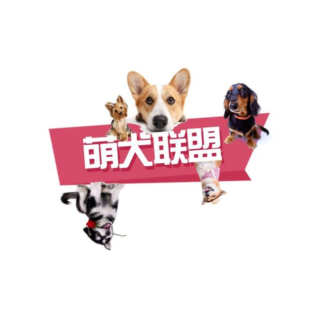 萌犬联盟 
