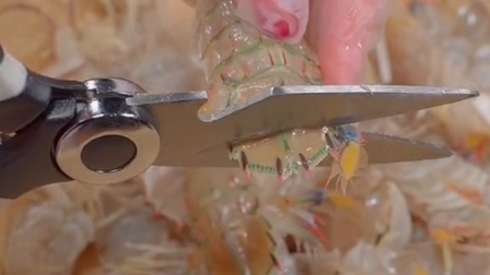 皮皮虾怎么做才简单好吃昵,其实做法很简单