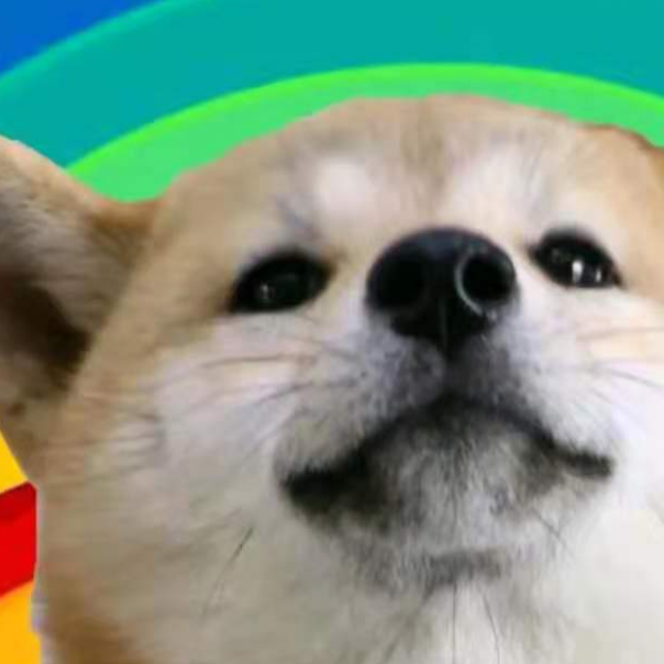 哆哆同学 