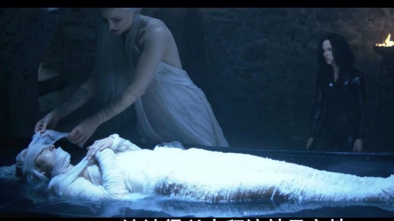 狼族和血族的大战迫在眉睫,一触即发,场面精彩过瘾!