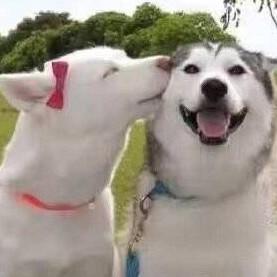 霓虹的零零散散New 