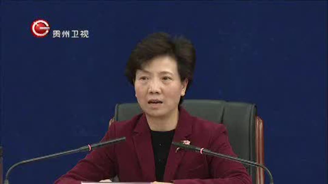 [贵州新闻联播]全省信访维稳专题电视电话会议召开