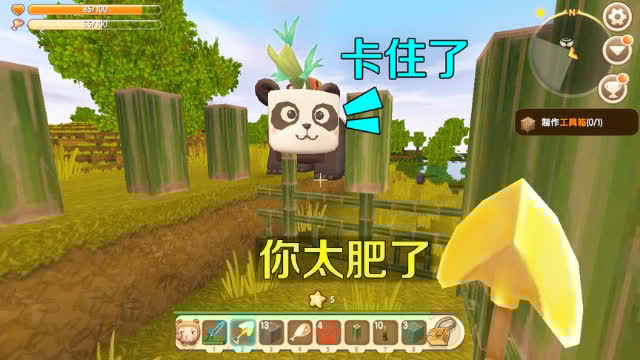 迷你世界:熊猫让你别吃那么多竹子,这下好了,被围栏卡住了