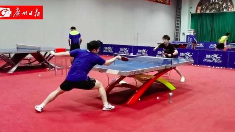 视频|全运会乒乓球开赛倒计时,樊振东与广东男乒训练挥汗如雨