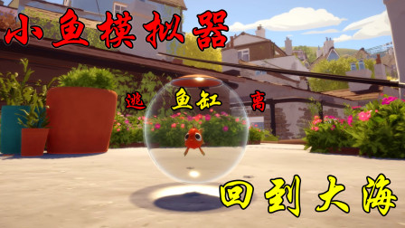 小鱼模拟器:不甘咸鱼的我要逃离鱼缸,回到大海