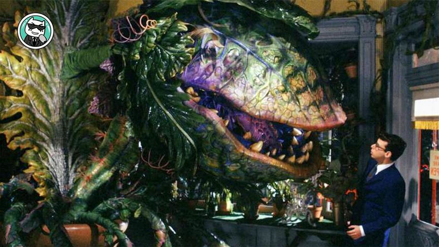 男人捡回一盆诡异奇花,只要喂它吃人肉,就能得到美女和财富!