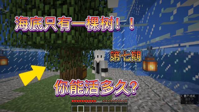 酷凡我的世界:海底一棵树该如何生存!第七期鱼+海豚=...