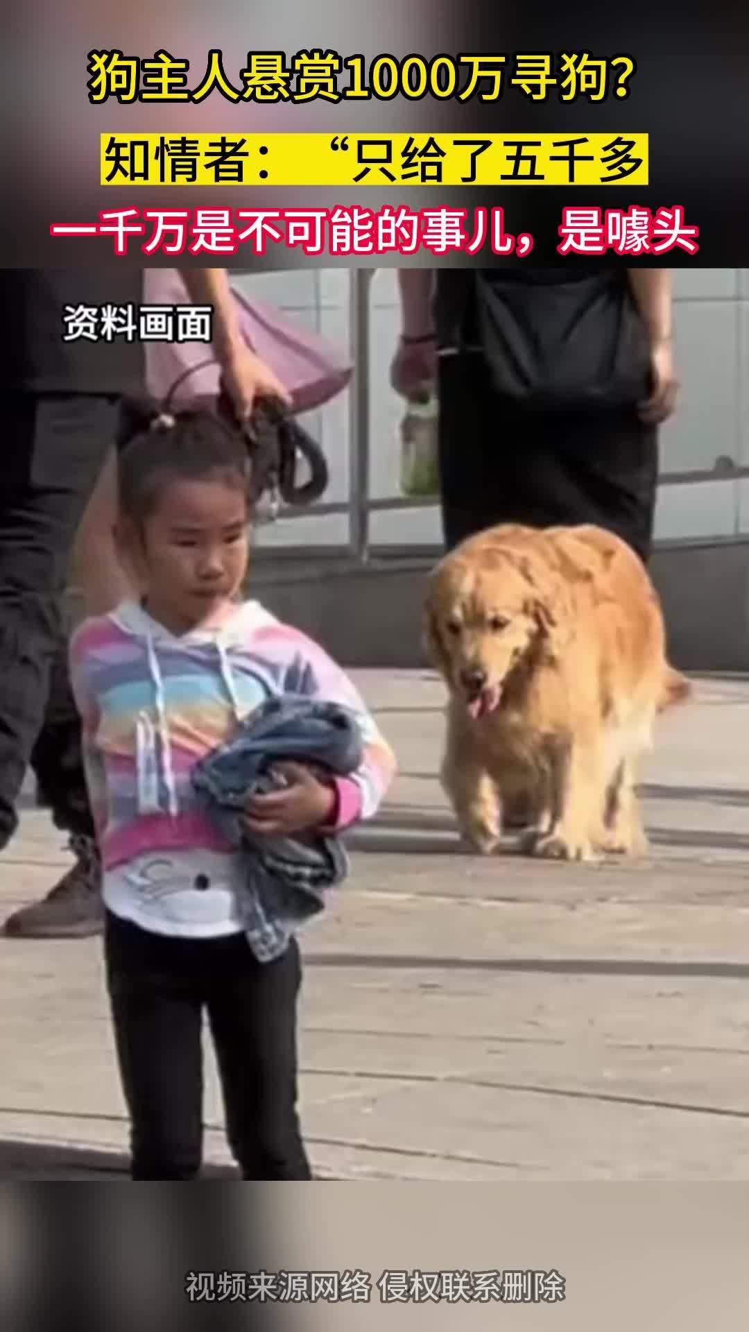 狗主人悬赏1000万寻狗?