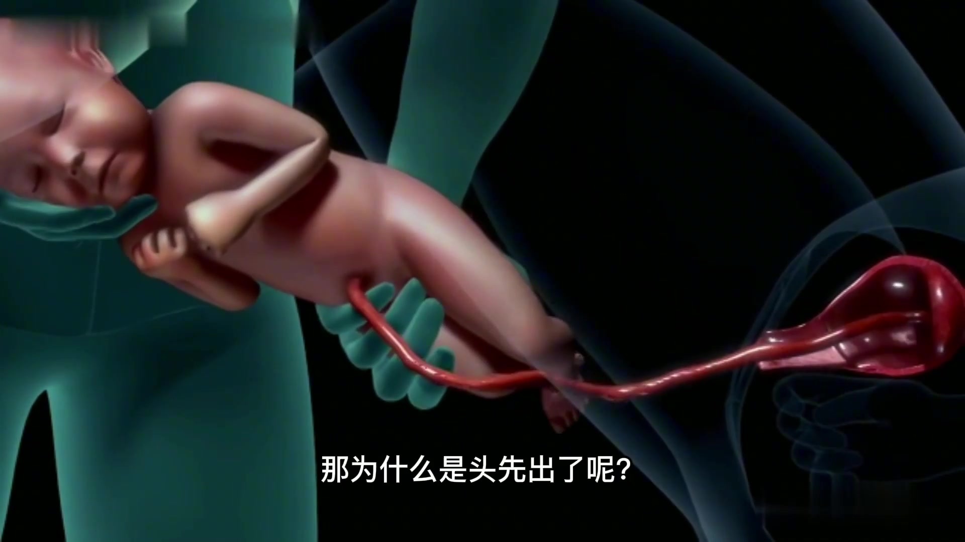 生孩子简直就是“酷刑”3D动画揭秘真实产房,产妇分娩全纪录!